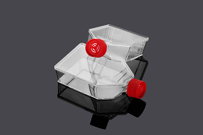 T75细胞培养瓶, TC处理 - 广州互成技术有限公司